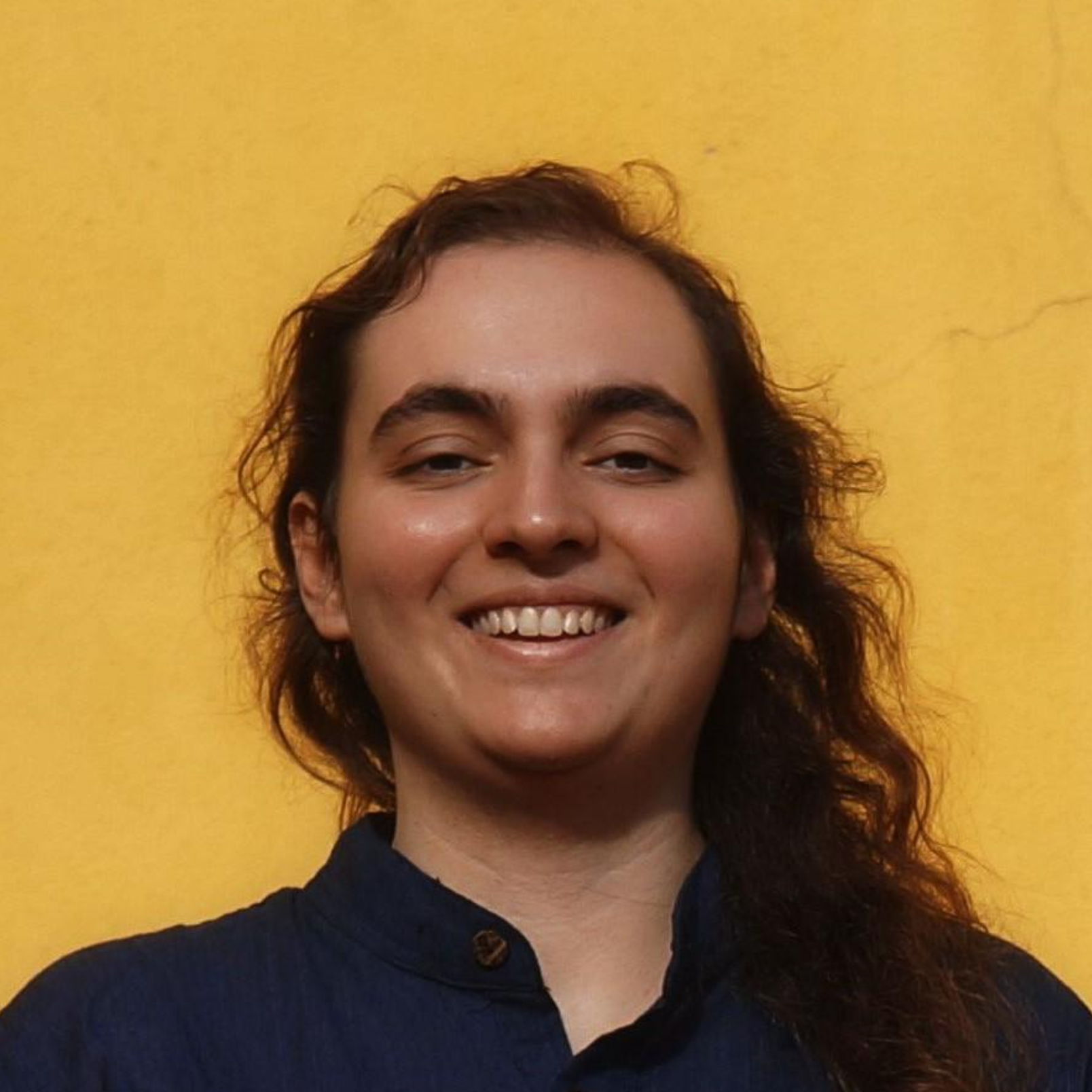 Ana Sofia Saraiva – VICARTE